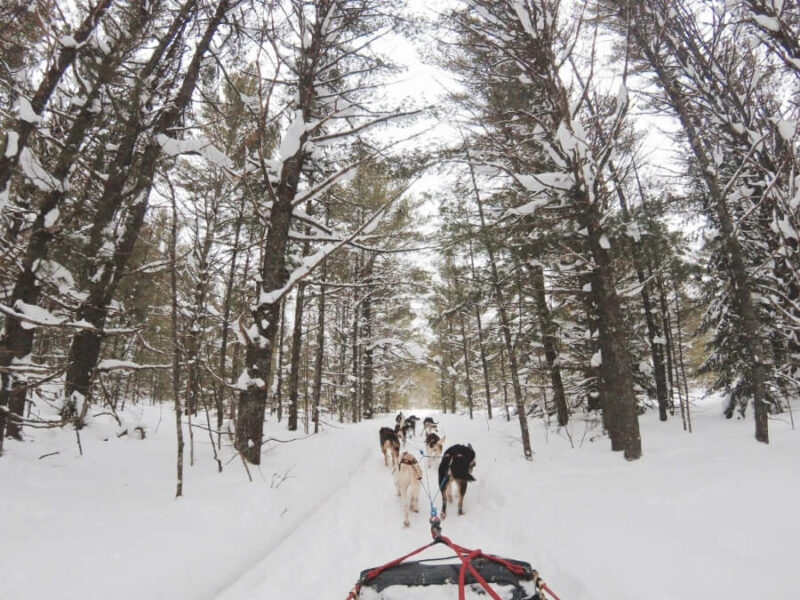 31 Activities & Things To Do In Maine During The Winter
