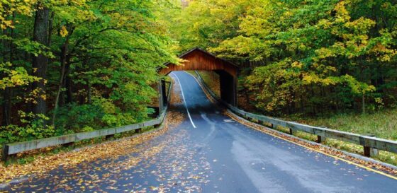 The 15 Best Hiking Trails In Sleeping Bear Dunes