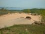 The 15 Best Hiking Trails In Sleeping Bear Dunes