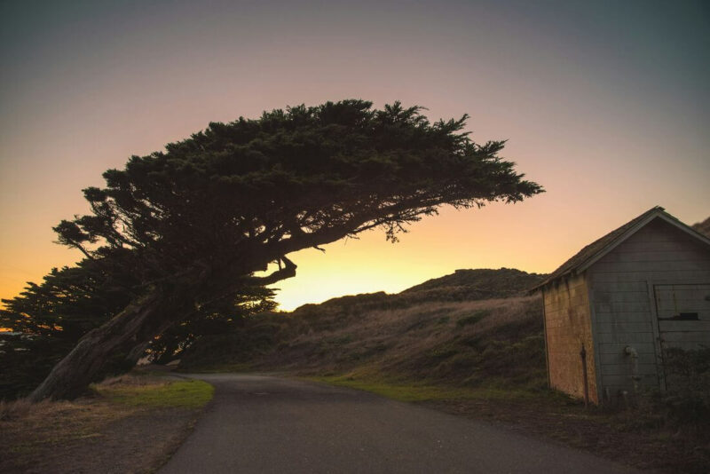 15 Best Things To Do In Point Reyes National Seashore